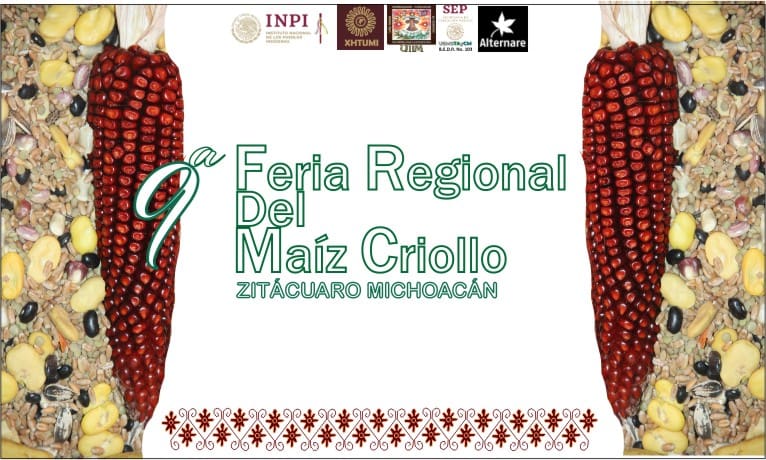 Suspenden 9a Edición De La Feria Del Maíz Criollo 2020 En Zitácuaro Por